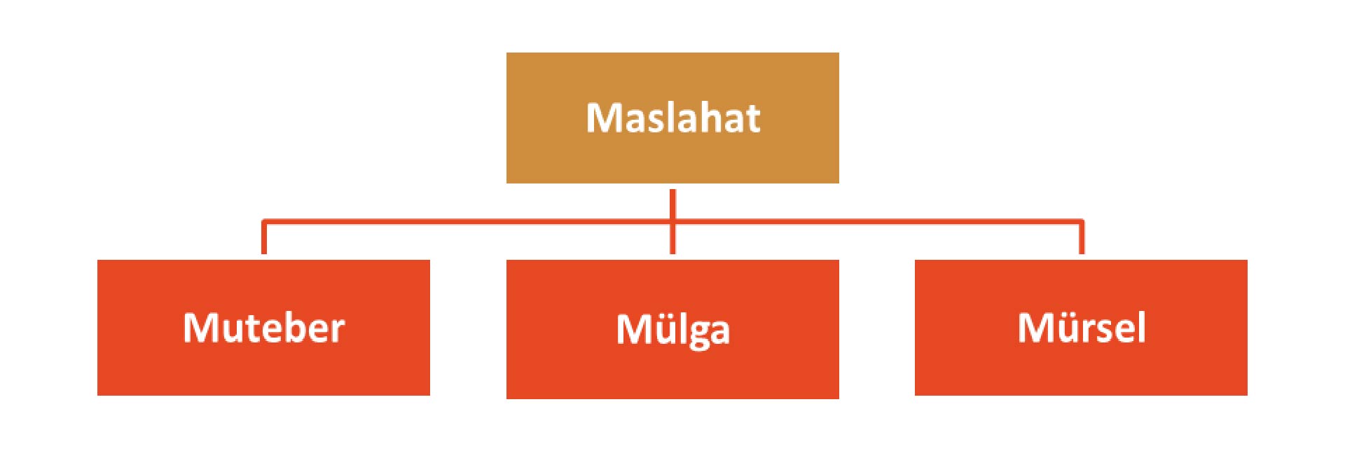 Istıslah Nedir? | e-Medrese